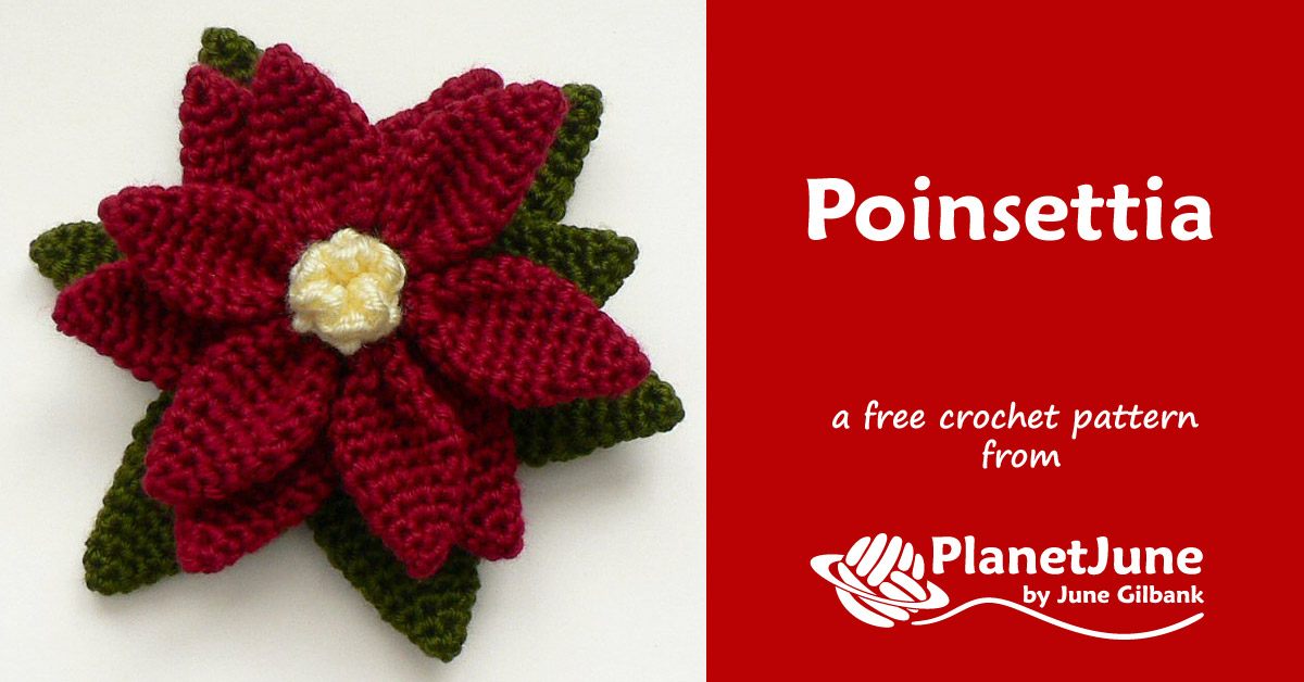 poinsettia pattern - PlanetJune by June Gilbank: Blog